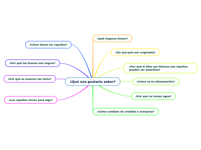¿Qué nos gustaría saber? - Mind Map